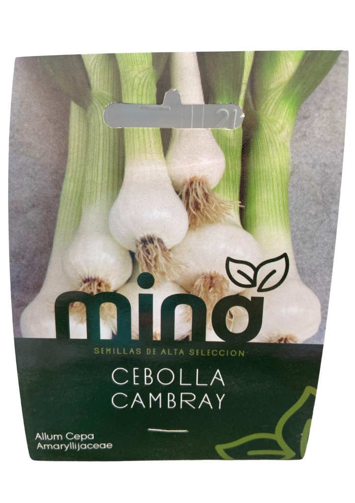 SEMILLAS DE CEBOLLA CAMBRAY - SOBRE MINA | Agricola Campos